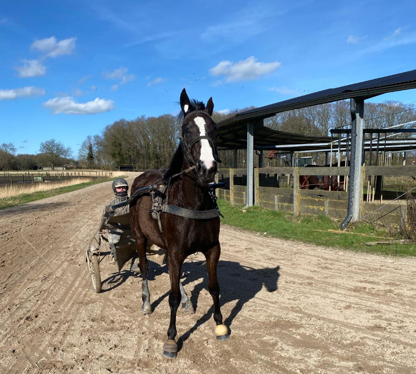 Mae Scott (Fra/TF) – Stal Scott